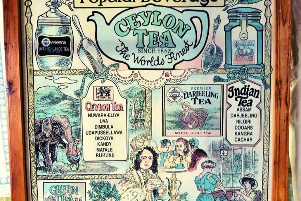 Tea Plantations In Sri Lanka: The 7 Best Tea Factory Tours