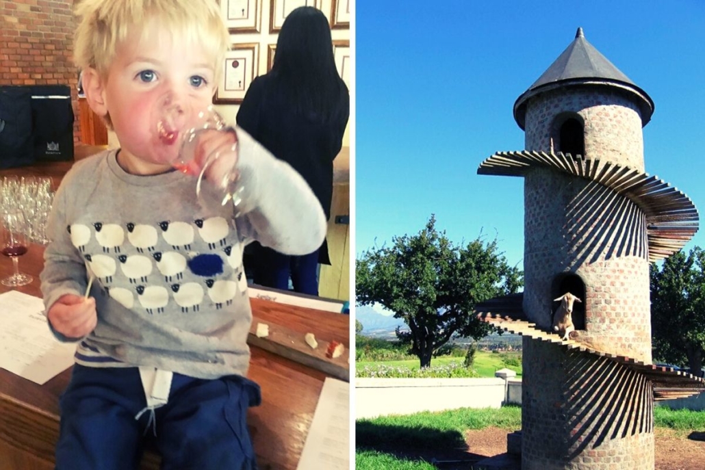 Our Guide To Family-Friendly Wine Tasting In South Africa