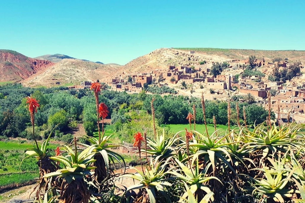 Visiting Morocco With Kids: 5 Things You Should Know