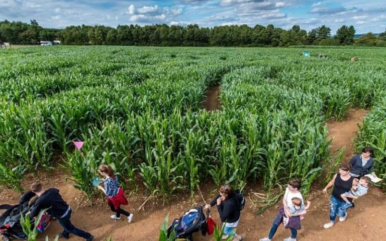 45 Amazing UK Maize Mazes To Visit In 2023