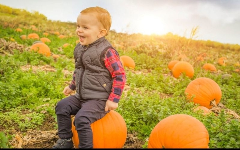 The Best Halloween Events In Hertfordshire 2023 the-best-halloween-events-in-hertfordshire-2023